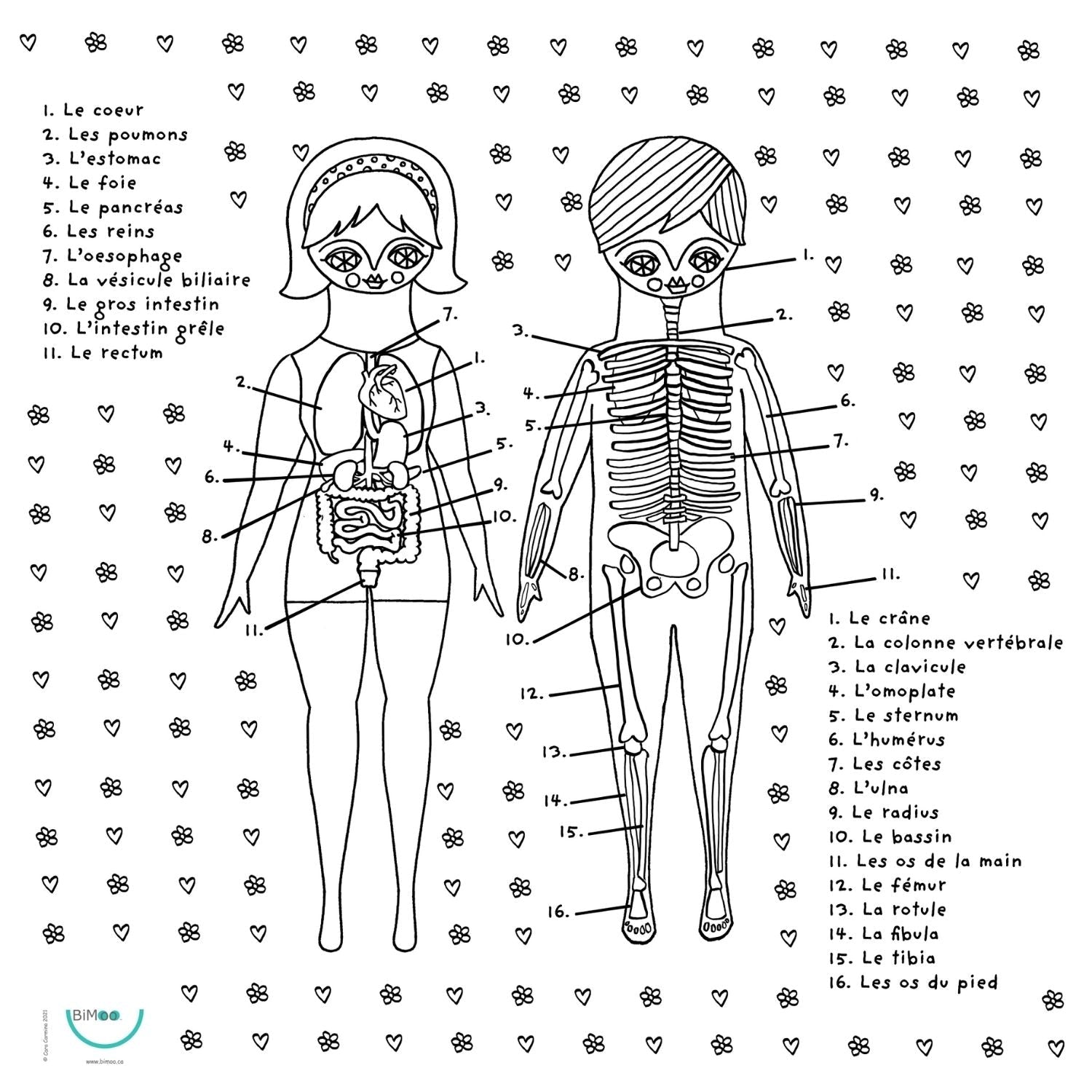 human body colouring sheets
